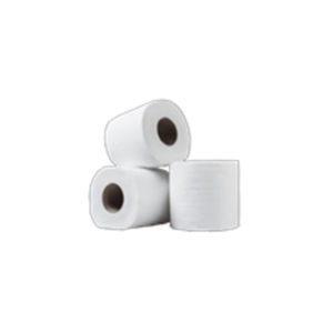 Eco-Hygiene Bathroom Tissue Roll 2Ply 96Rolls • OfficeMoTo Online Shop ...
