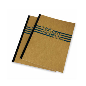 Valiant Kraft Columnar Notebook 3-24 columns • OfficeMoTo Online Shop ...